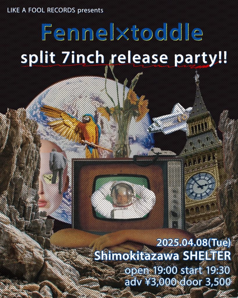 toddle official website