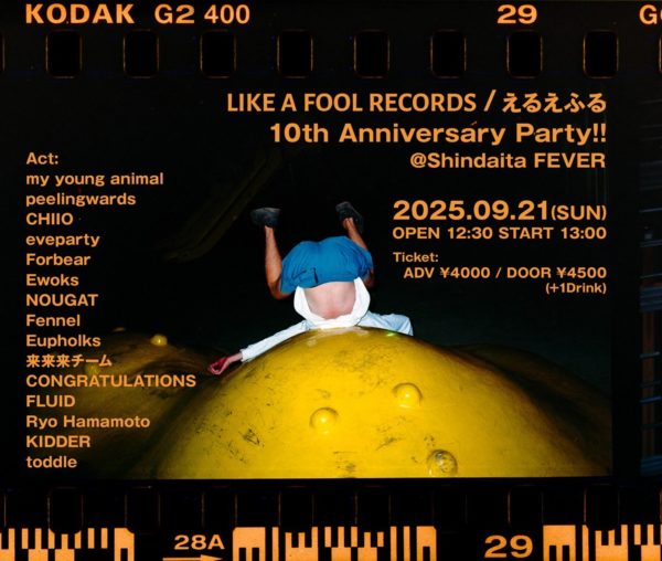 toddle official website